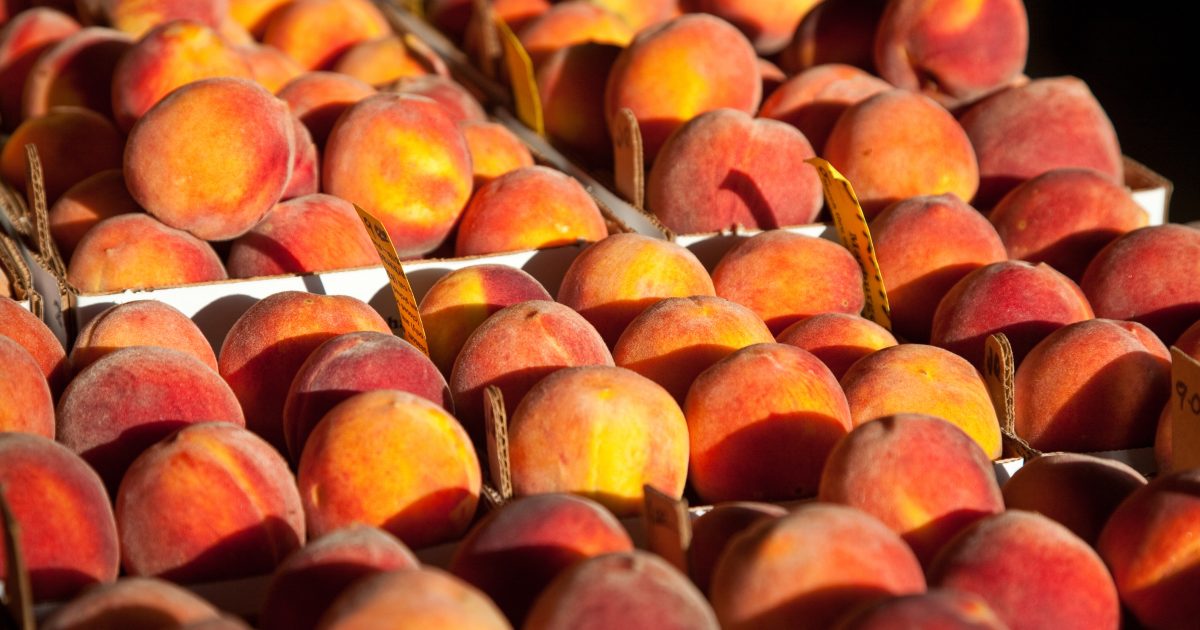 Peach Season in Fredericksburg, Texas | Orchards & Farms | Visit ...
